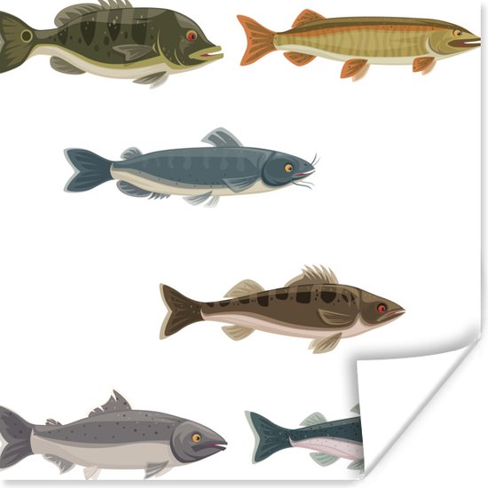 Une illustration de six affiches poissons colorés 30x30 cm - Tirage ...
