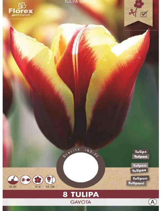 Tulp Triumph Gavota 8 Stuks | bol.com