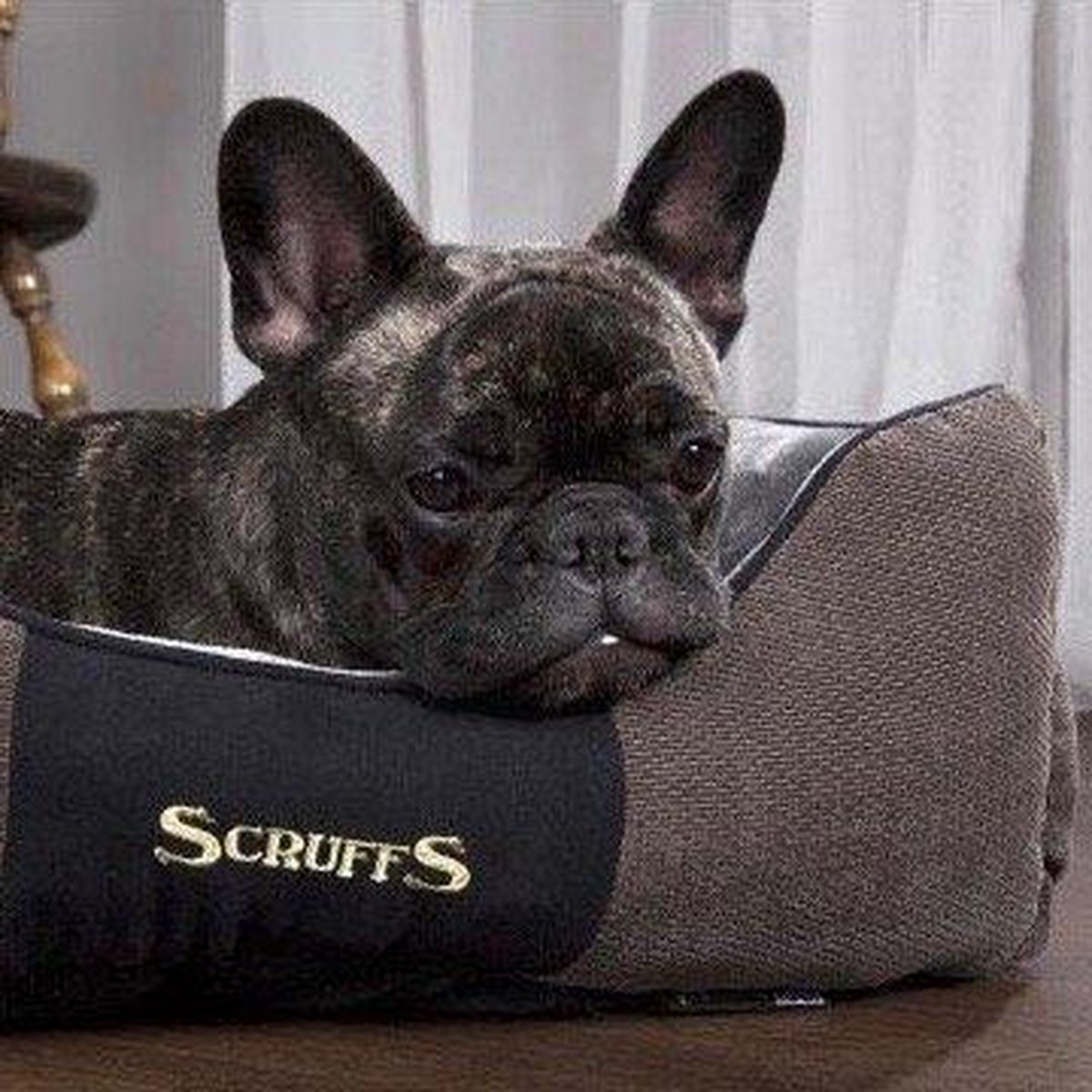 Scruffs Chester - Lit pour chien - Marron - M - 60 x 50 cm | bol.com