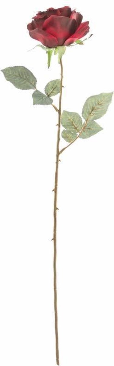 Riverdale Roos burgundy 66cm | bol.com