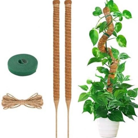 Mosstok - Mosstok Voor Planten - 4-Delig - Plantenstok - Plantensteun ...