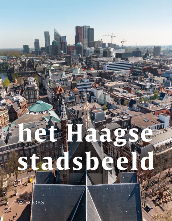 Het Haagse stadsbeeld, Marcel Teunissen | 9789462587106 | Boeken | bol