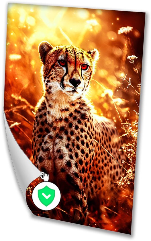 Cheeta in gouden zonlicht - Cheeta poster - Poster dieren ...