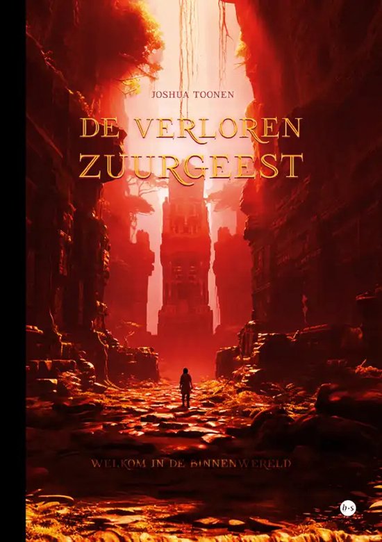 De verloren zuurgeest, Joshua Toonen | 9789464895681 | Boeken | bol