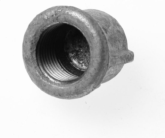 Nefit Ind Nr301 ronde dop binnendraad 1 1/4 gegalvaniseerd | bol