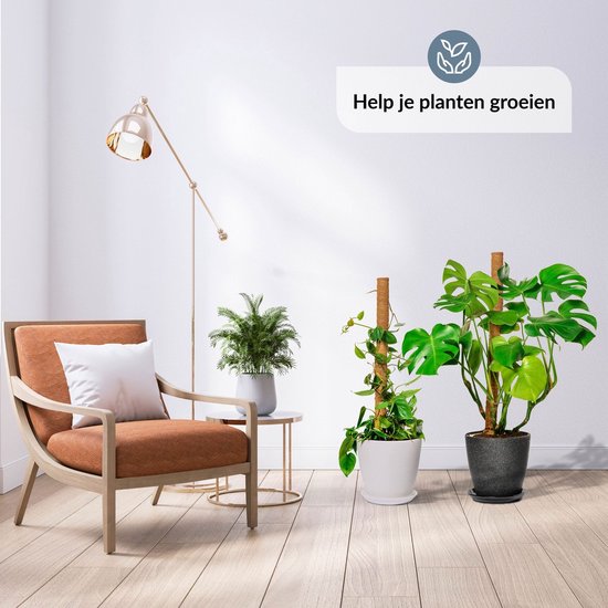 Mosstok voor Planten - Verlengbaar tot 140cm - Plantenstok ...