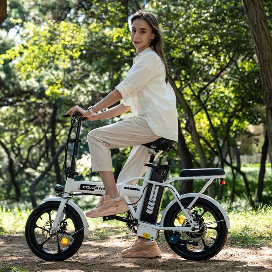Elektrische Fiets - 16 Inch Opvouwbaar E-Bike - 250W - Max 25km/u ...
