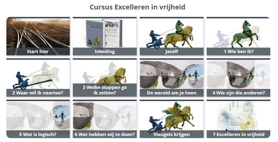 Excelleren in vrijheid + E-learning - Jouw recept opstellen voor ...