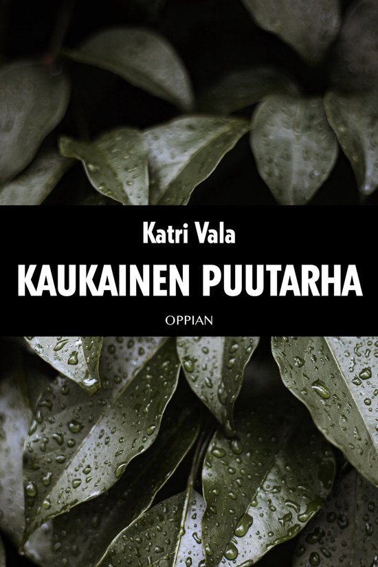 Kaukainen puutarha (ebook), Katri Vala | 9789518772760 | Boeken | bol.com