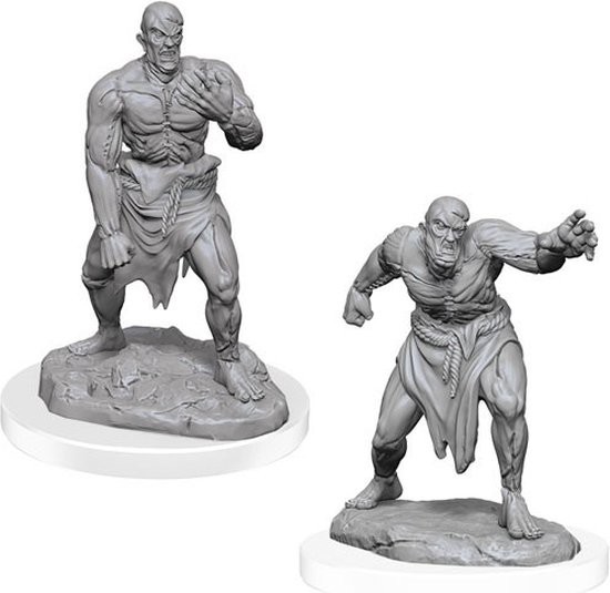 D&D Nolzur's Marvelous Miniatures Flesh Golems 2 | bol