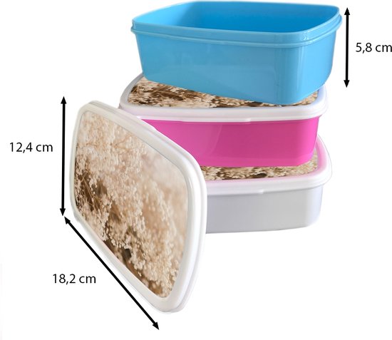 Broodtrommel Roze - Lunchbox - Brooddoos - Pampasgras - Plant - Natuur ...