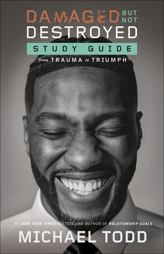 Damaged but Not Destroyed Study Guide (ebook), Michael Todd ...