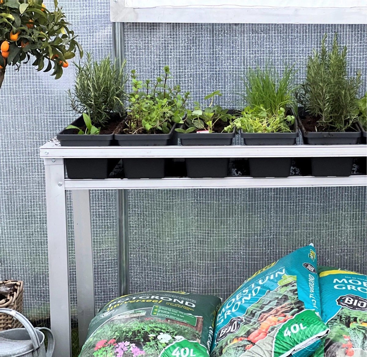 KWEEK - Kweektafel | bol.com