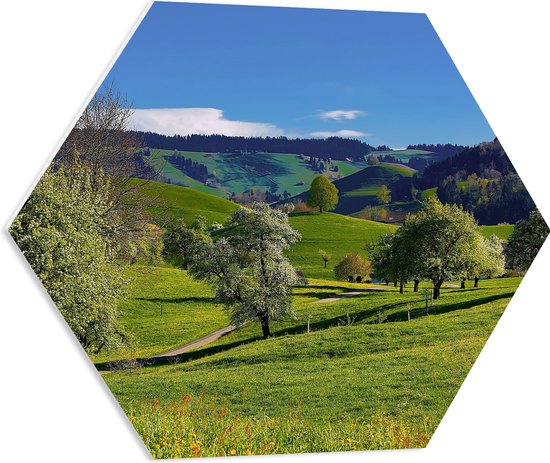 PVC Schuimplaat Hexagon - Bergen - Heuvel - Landschap - Gras - Bomen ...
