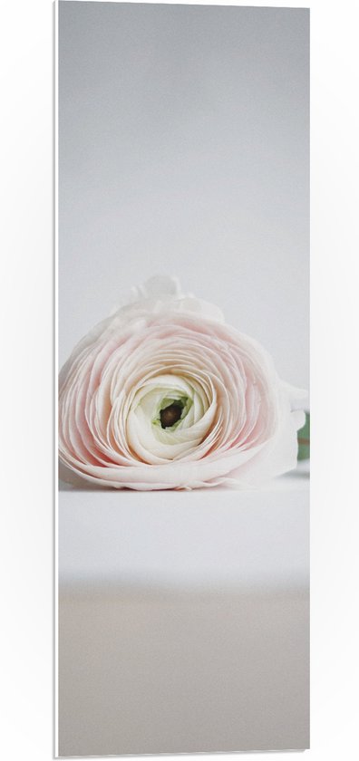 PVC Schuimplaat- Bloem - Liggend - Wit - Roze - 30x90 cm Foto op PVC ...