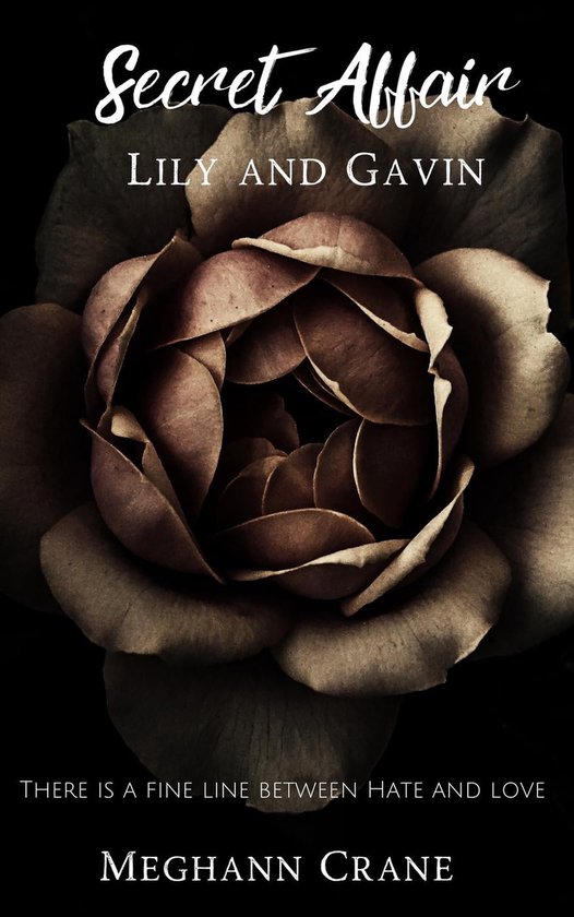 The Secret Series 2 - Secret Affair: Lily and Gavin (ebook), Meghann ...