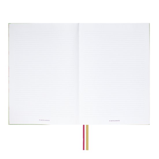 Pimpelmees notebook A4 - Apple | bol
