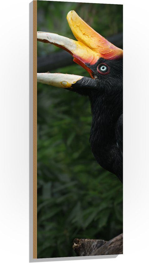 Hout - Kleurrijke Neushoorn Vogel in het Bos - 40x120 cm - 9 mm dik ...