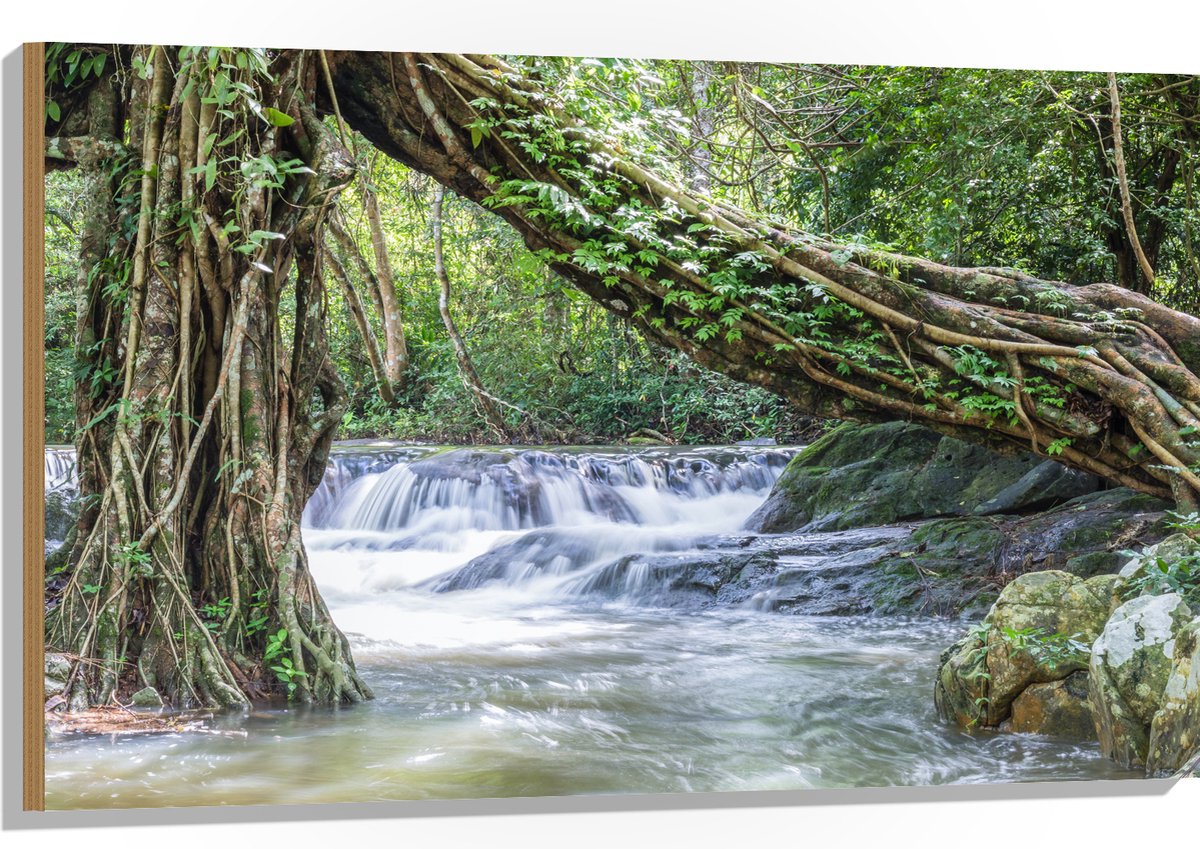 Hout - Boom in het Midden van Stromende Rivier in het Bos - 105x70 cm ...