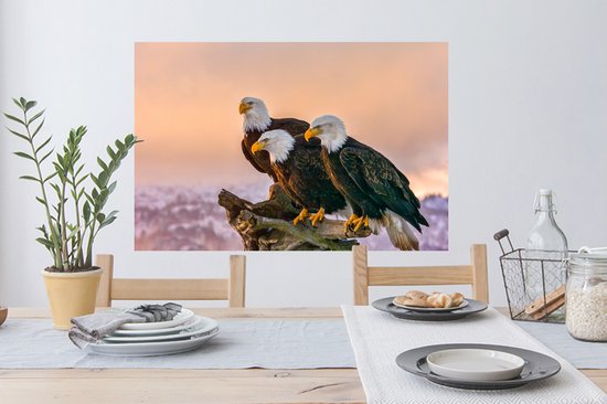 Muurstickers - Sticker Folie - Vogels - Natuur - Roofvogels - Arend ...
