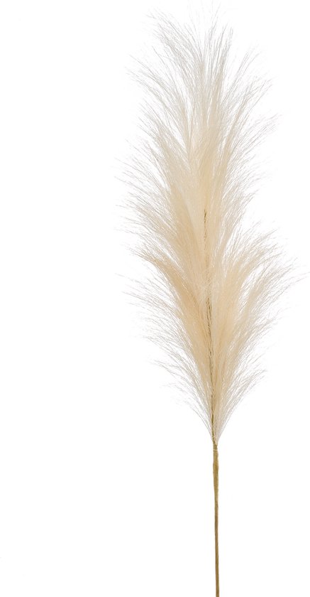 Emerald Pampasgras pluim losse steel/tak - 2x - creme wit - 115 cm ...