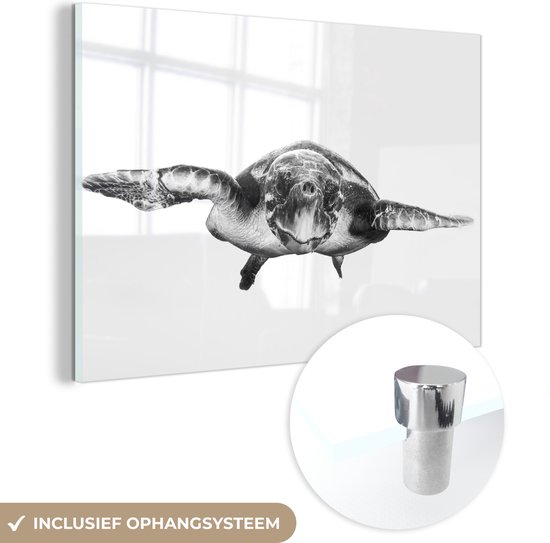 Glasschilderij - Schildpad - Zeedieren - zwart - Wit - Foto op glas - 30x20 cm -... | bol
