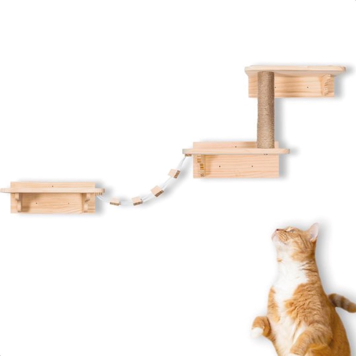 LBB - Katten klimmuur - Ladder en krabpaal - Katten klim wand ...