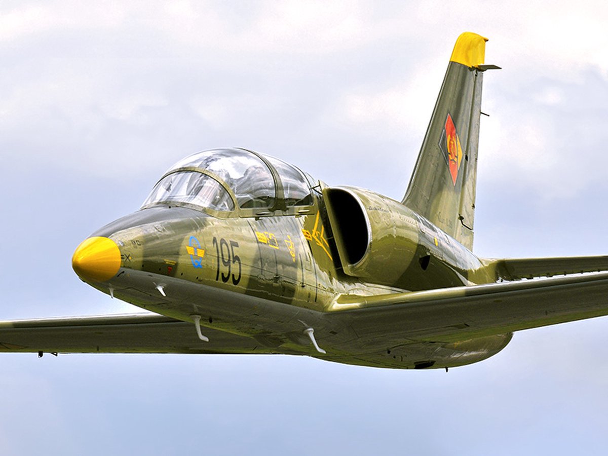 Bongo Bon - SPEKTAKELVLUCHT IN EEN L-39 ALBATROS IN DUITSLAND ...