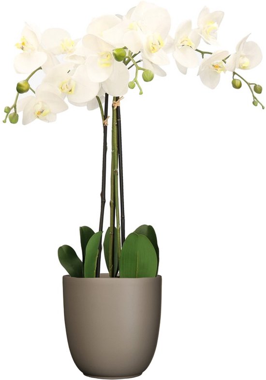 Orchidee kunstplant wit - 75 cm - inclusief bloempot taupe mat ...