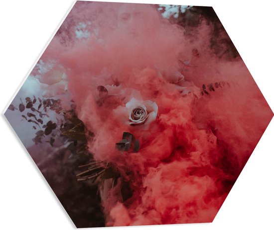 PVC Schuimplaat Hexagon - Rozen - Rook - Bomen - Rood - 60x52.2 cm Foto ...
