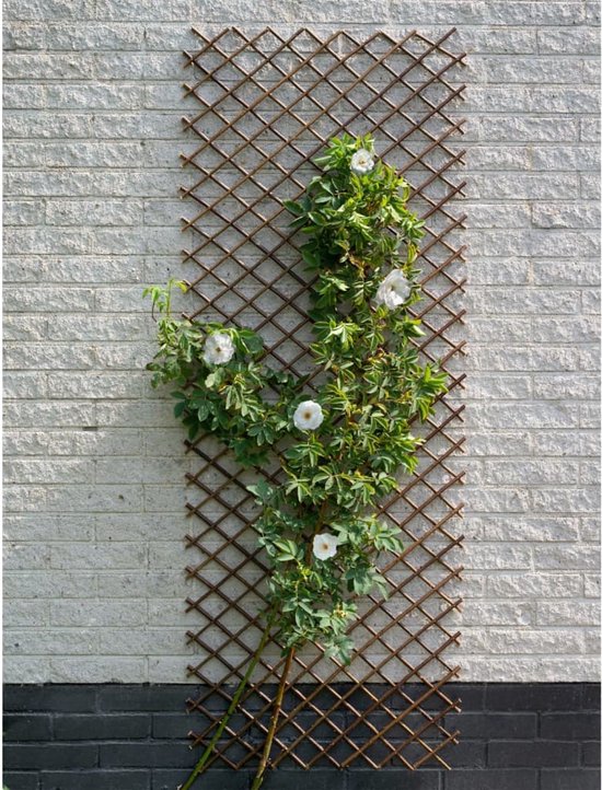 Nature - Houten klimrek (natuurlijk wilgenhout) - 60 x 180cm - FSC | bol