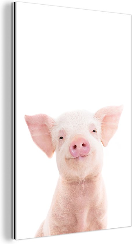 Varken - Roze - Dieren - Natuur | bol.com