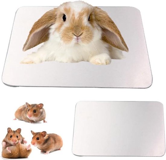 Cool Plate Cooling Pad Hamster Mat Ice Bed - Zomer Hamster Accessoire ...