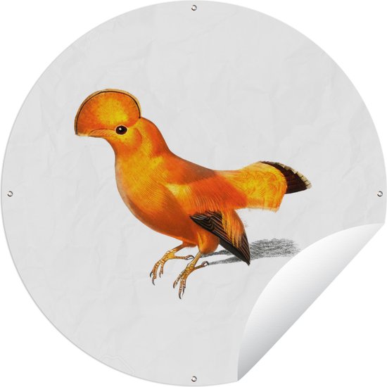 Tuincirkel tekening van een rotshaan met een witte achtergrond - 90x90 ...