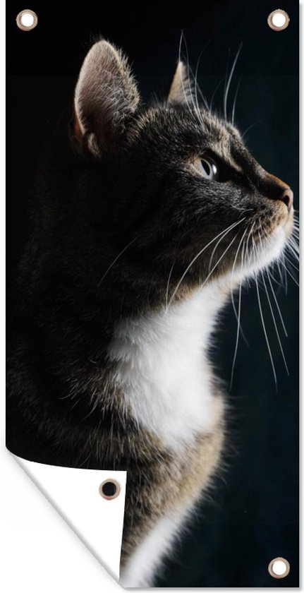 Wanddecoratie buiten Huiskat - 80x160 cm - Tuindoek - Buitenposter ...