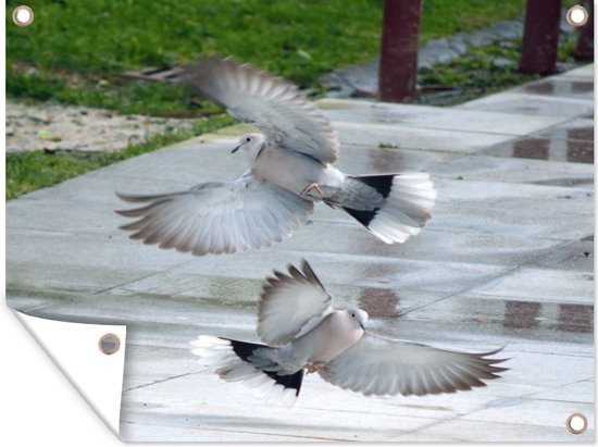 Tuin decoratie Tortelduif - Vleugels - Dieren - 40x30 cm - Tuindoek ...