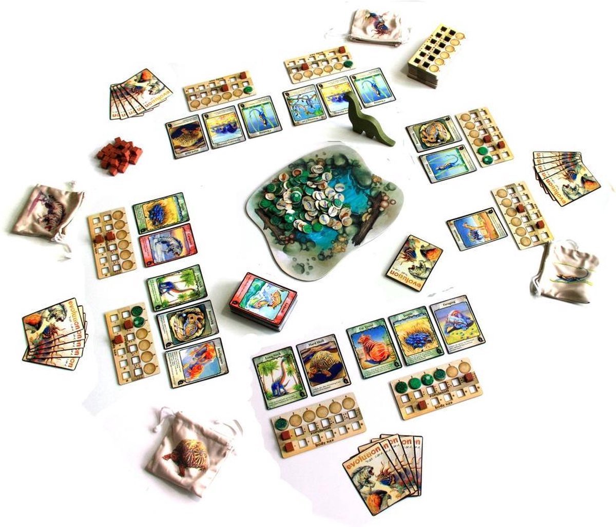 Evolution Card Game English - Evolutie Kaartspel (ENG) - Educatief Spel ...