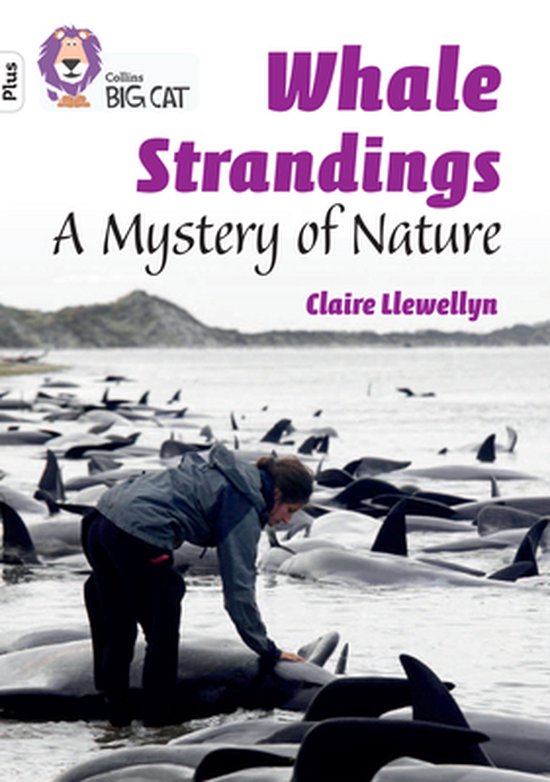 Collins Big Cat- Whale Strandings: A Mystery of Nature | 9780008485573 ...