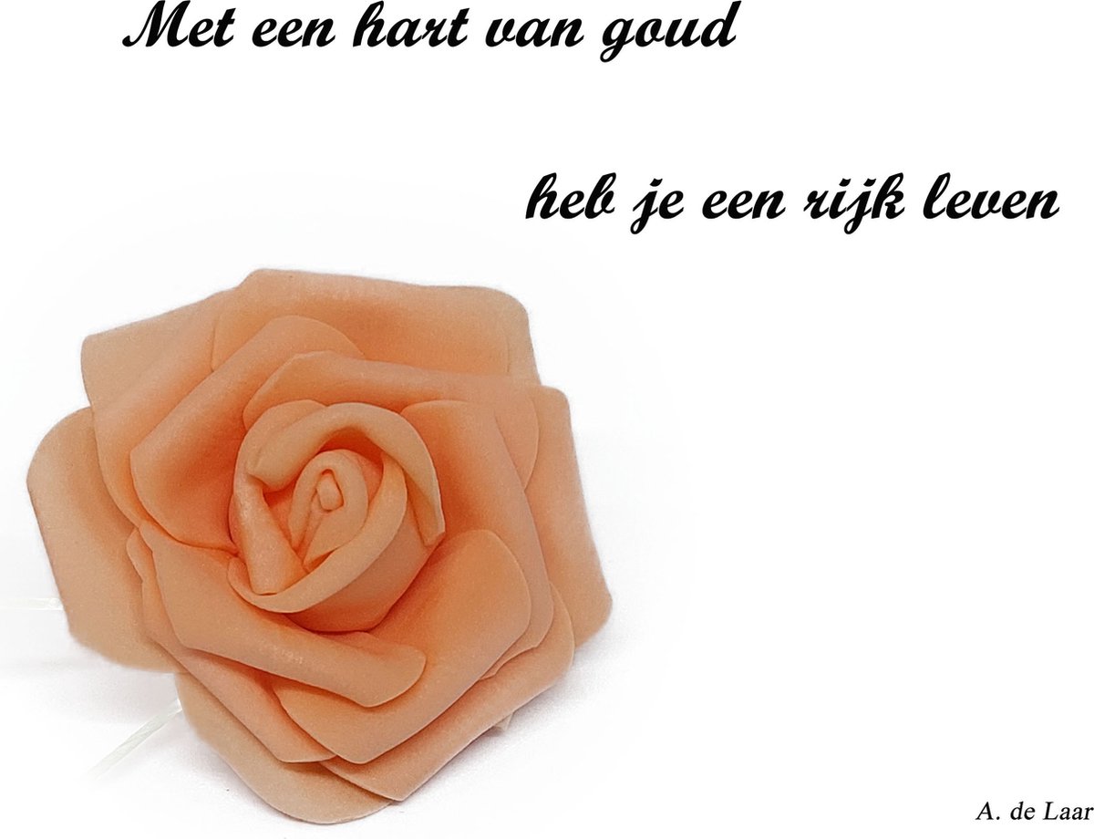 Tegel met spreuk | Rijk leven | Tegeltje tegeltje aan de wand Wie heeft ...