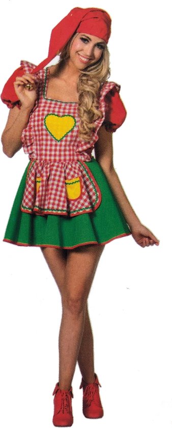 Non-branded Verkleedjurk Kabouter Dames Polyester Rood/groen Maat 44 ...