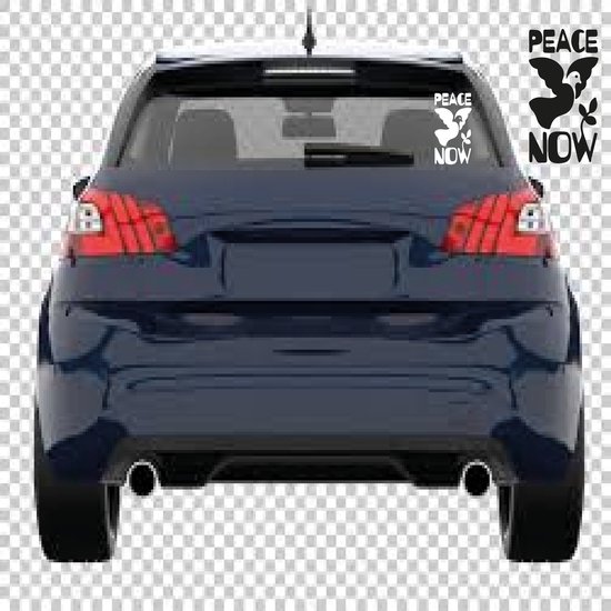 Raamsticker - Peace Now - Duif - Zwart - Spiegelbeeld - 190mm x 294mm | bol