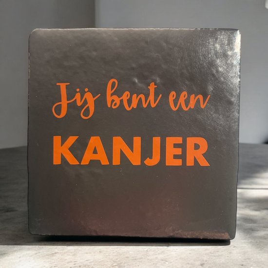Hip Tegeltje met Tekst-Jij bent een Kanjer-Metallic... | bol