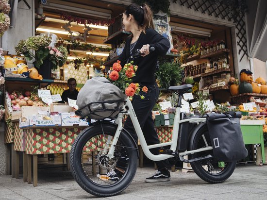 Uco Steel elektrische transportfiets city wit | bol