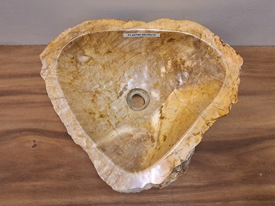 Waskom van versteend hout - 45x39x15cm - FL22790 | bol
