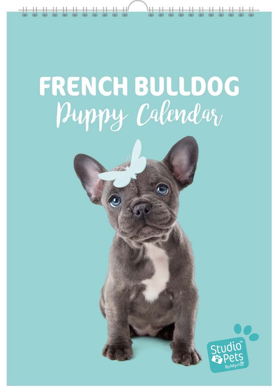 Studio Pets® A4 Franse Bulldog Honden Verjaardag Kalender Maandplanner ...