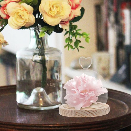 Glazen Deksel Taart Display Dessert Koepel Pot Bloemen - Helder ...