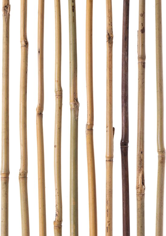 Plantensteunen Bamboe - Klimhulp Stokken - Planten Ondersteunen ...