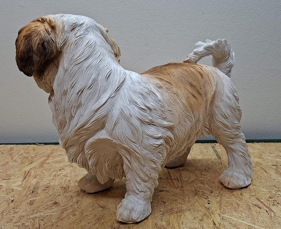 Levensecht Boomer Hondje (Shih Tzu) beeld - Realistisch Decoratiebeeld ...