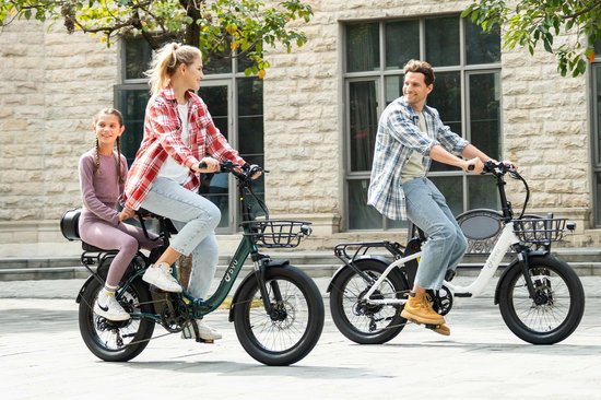 DYU C9 elektrische vouwfiets - 20 inch e-bike - 150 km bereik - 250W | bol