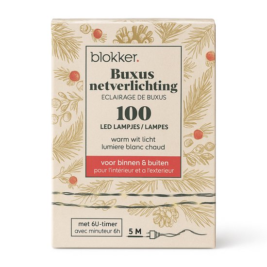 Blokker Buxus Netverlichting – 100 LED – Warm Wit – 5 meter – Binnen ...